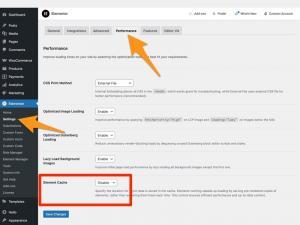 Elementor Plugin Settings